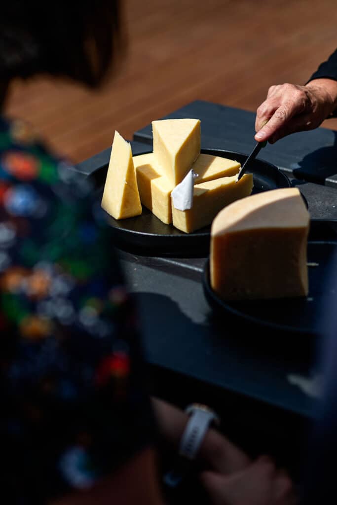 GALLERY - TrailGraze