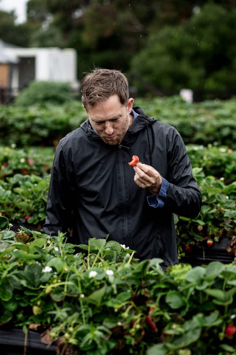 GALLERY - TrailGraze